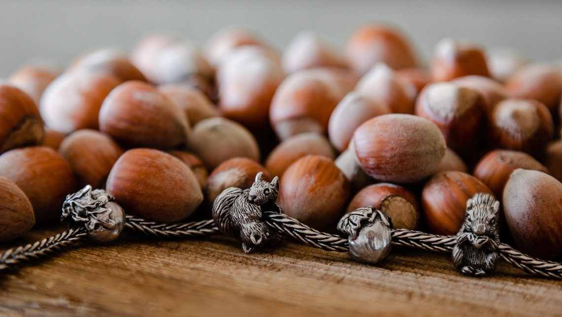 Yugen Mighty AcornGreat oaks grow from | Etsy