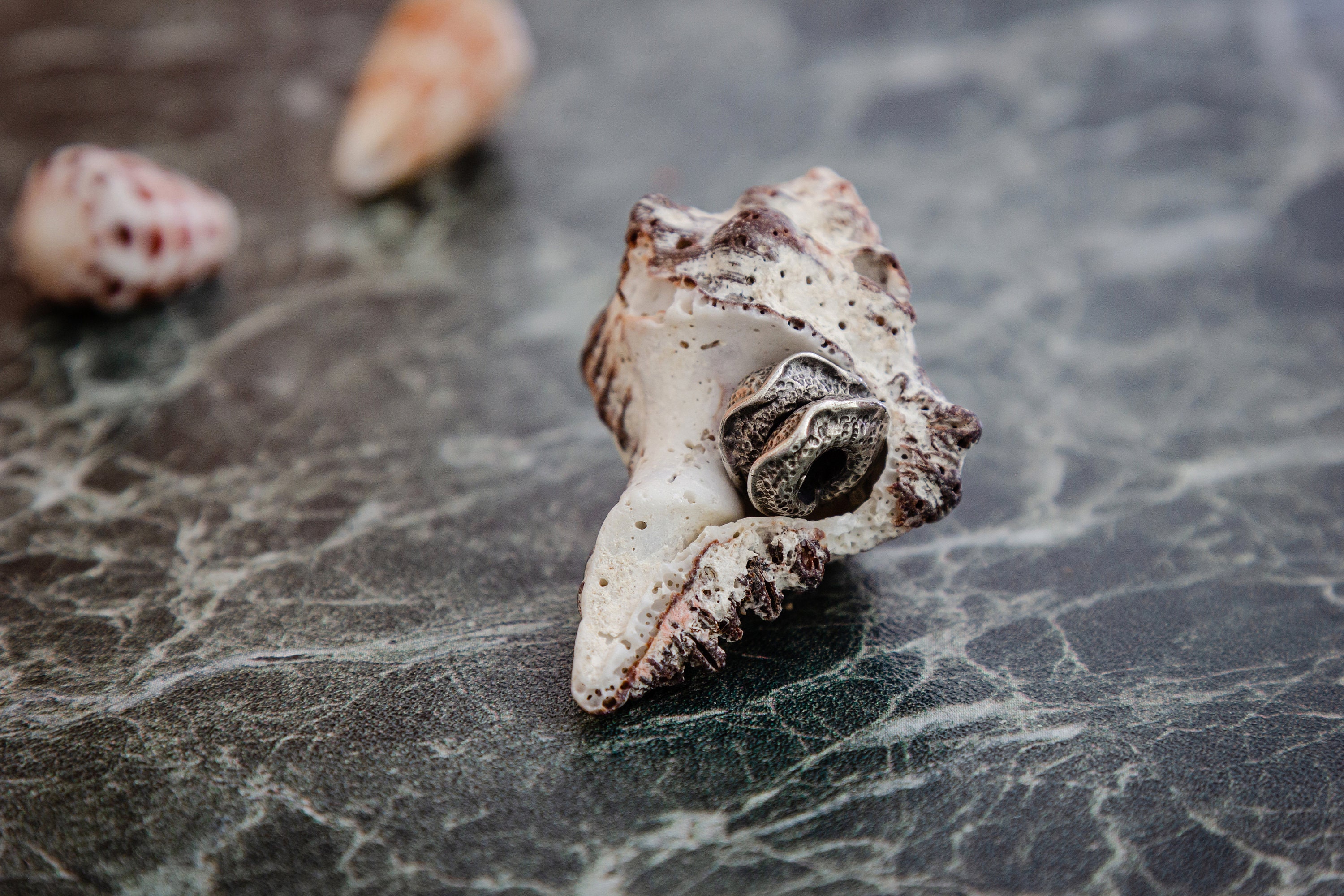 Yugen moray Eel Sometimes in the Waves of Change | Etsy