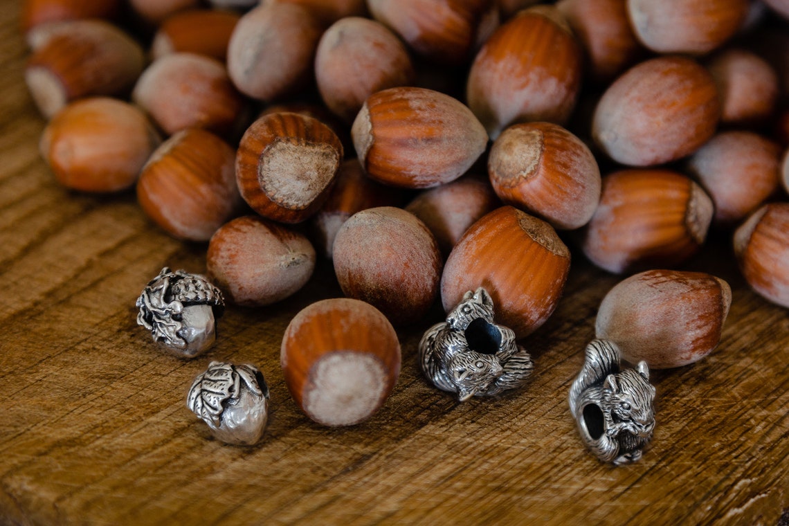 Yugen Mighty AcornGreat oaks grow from | Etsy