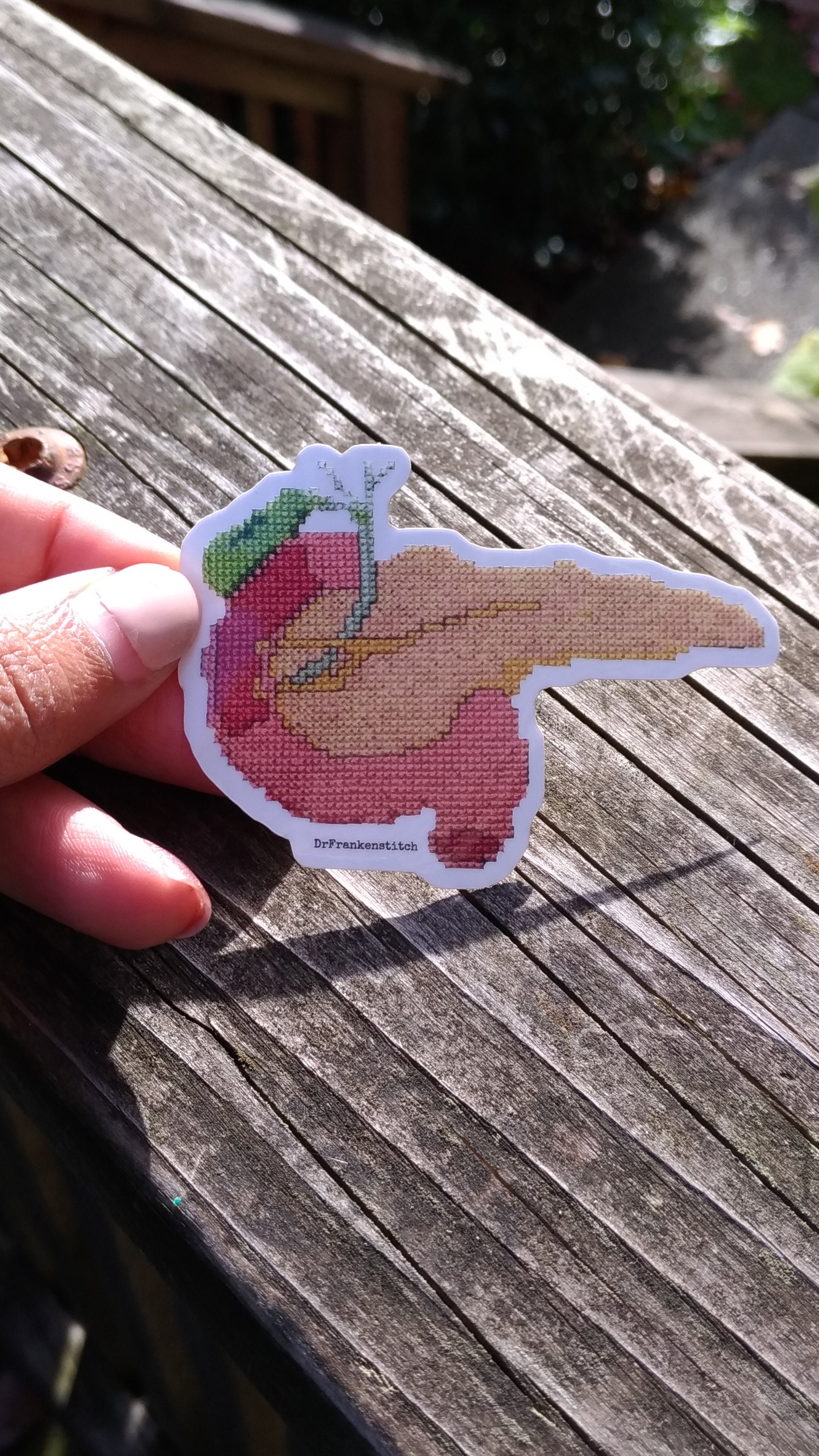 Anatomical Pancreas Cross Stitch Clear Sticker/decal for Laptop/water ...