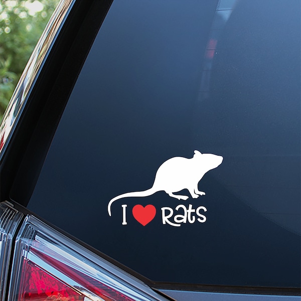 Rats - Etsy