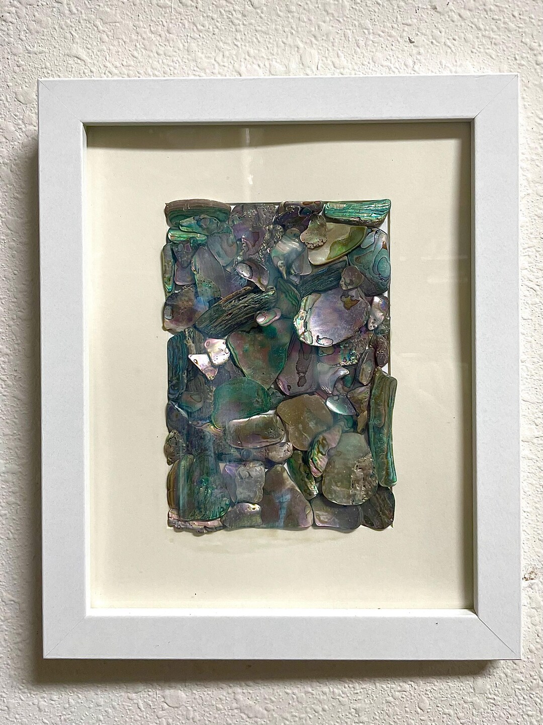 Framed Red Abalone Shell Wall Art. Frame 9 1/2" X 11 1/2 ". Wood Frame ...