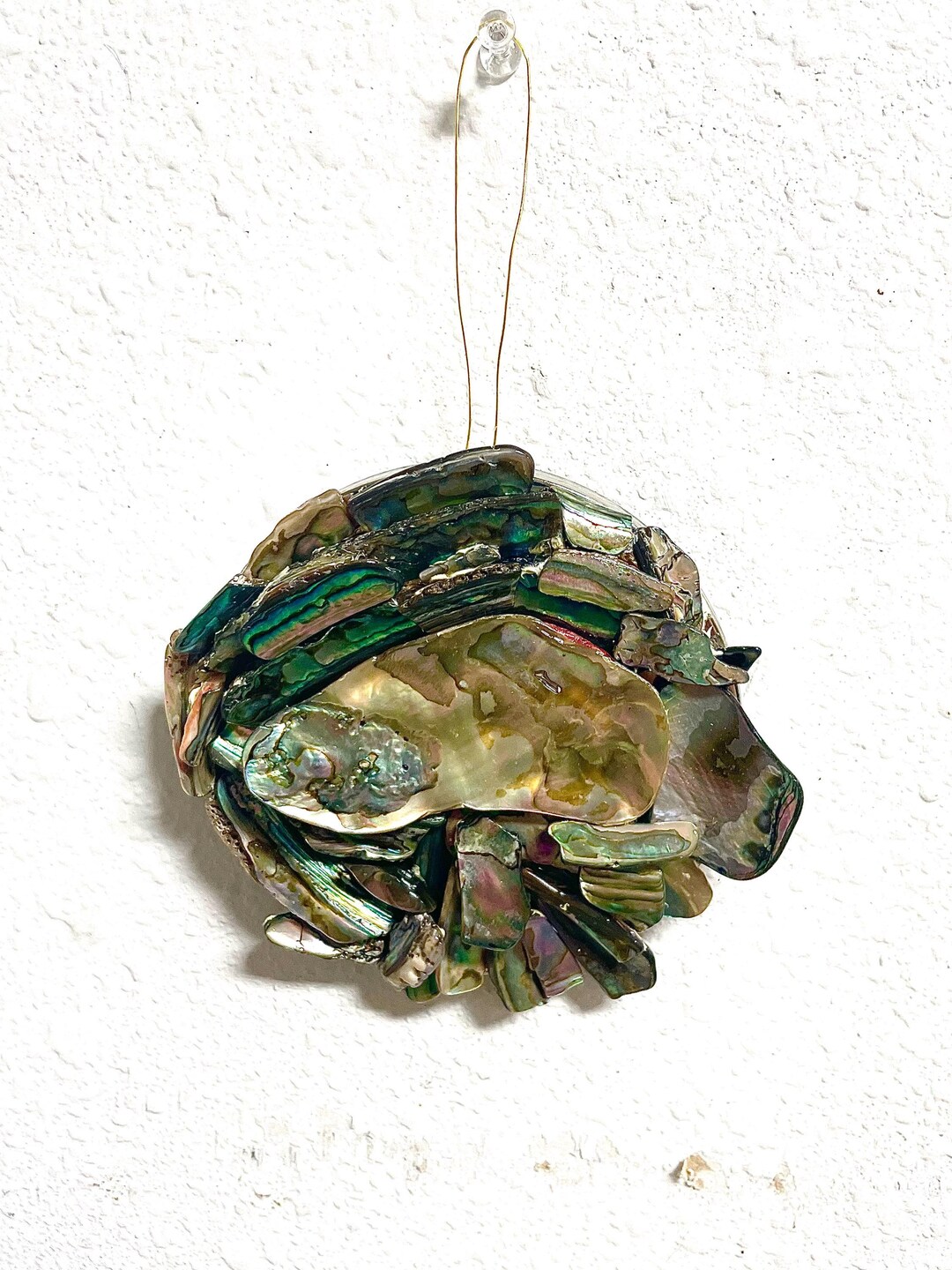 Red Abalone Shell Wall Hanging 4 1/2" X 4 1/2". - Etsy