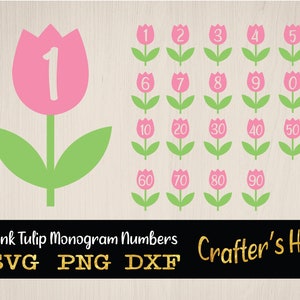 Tulip Number Svg Alphabet Cut File Cricut, Floral Monogram Svg Png Dxf ...
