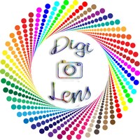 DigiLens - Etsy