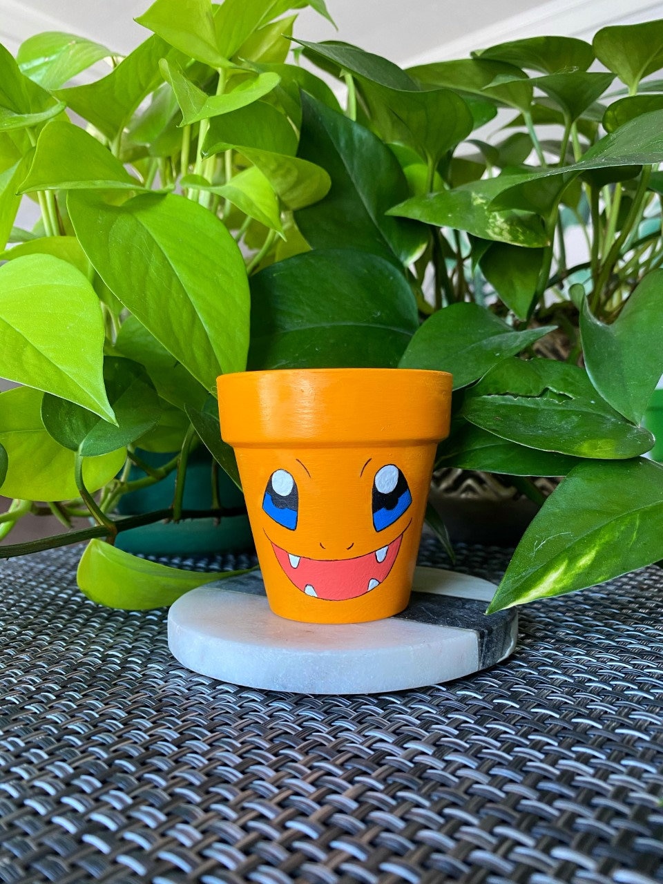 Starter Pokémon Planter Pots - Etsy