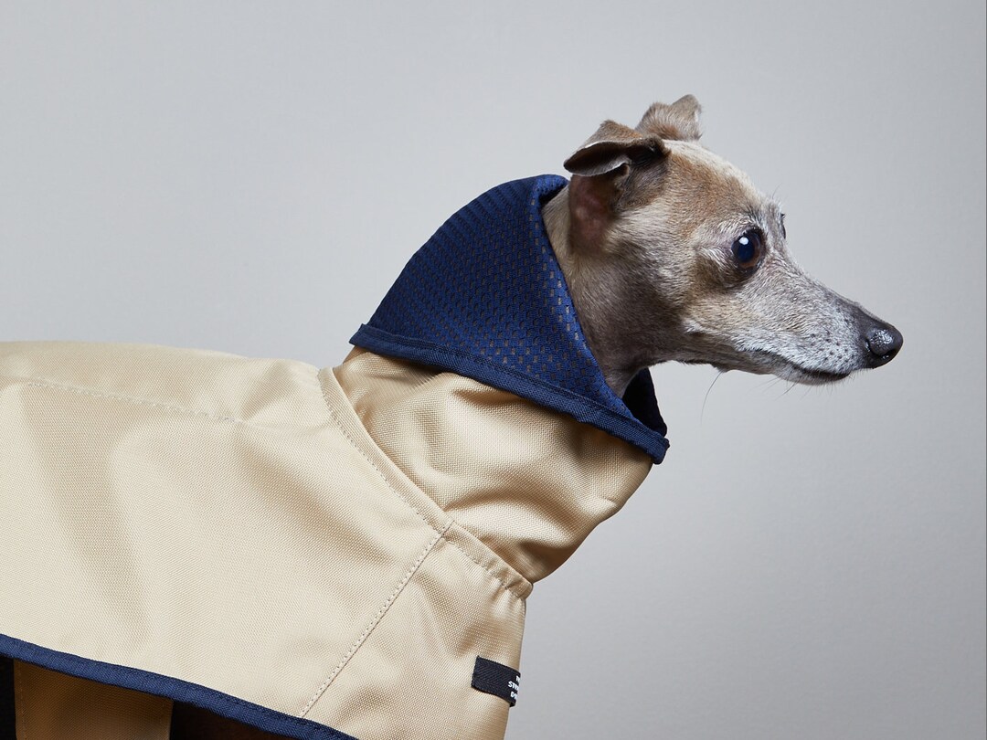 Italian Greyhound and Whippet Sand Waterproof Hooded Coat, Dog Coat ...