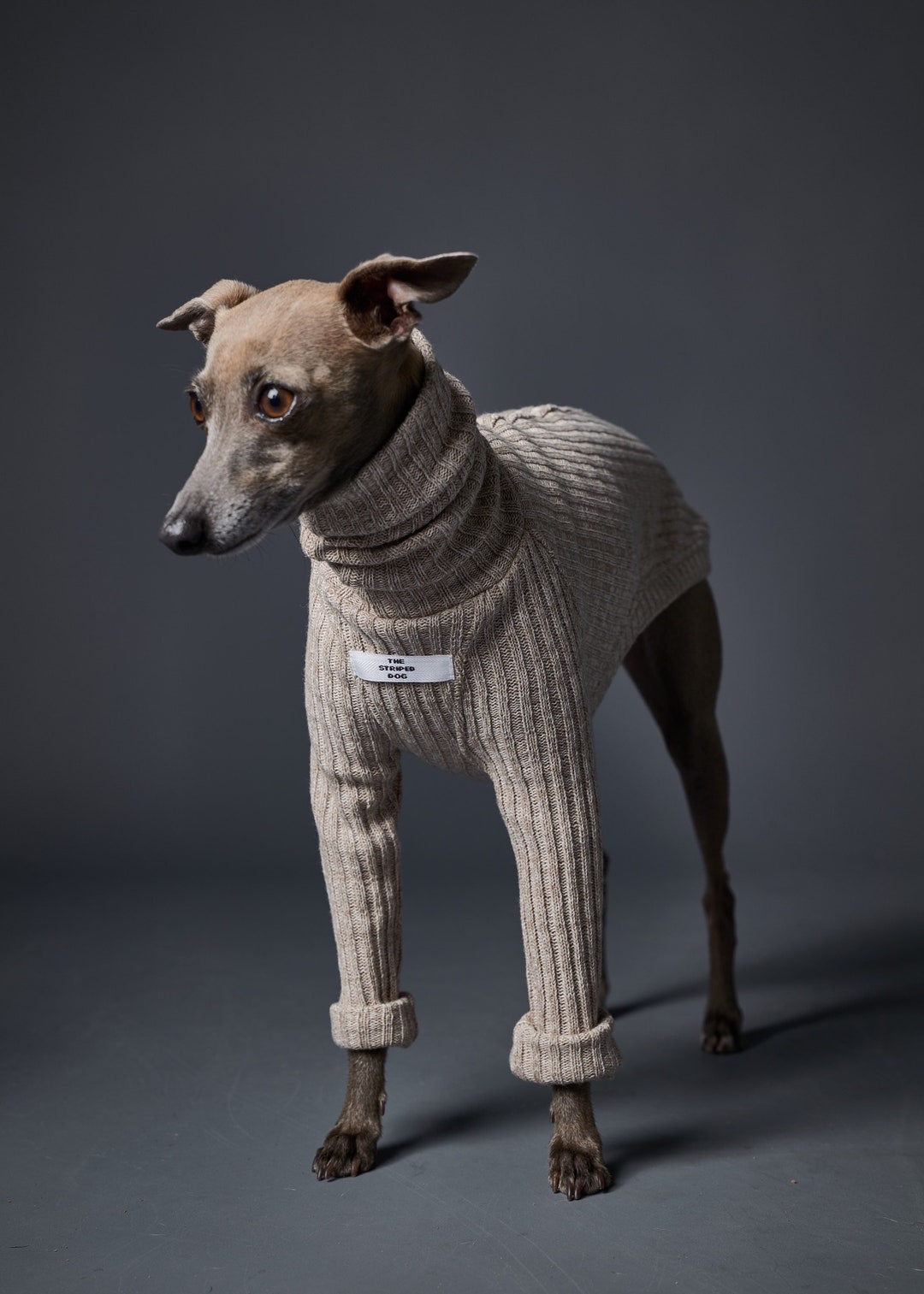 Italian Greyhound and Whippet Sand Turtleneck Sweater, Dog Clothes ...