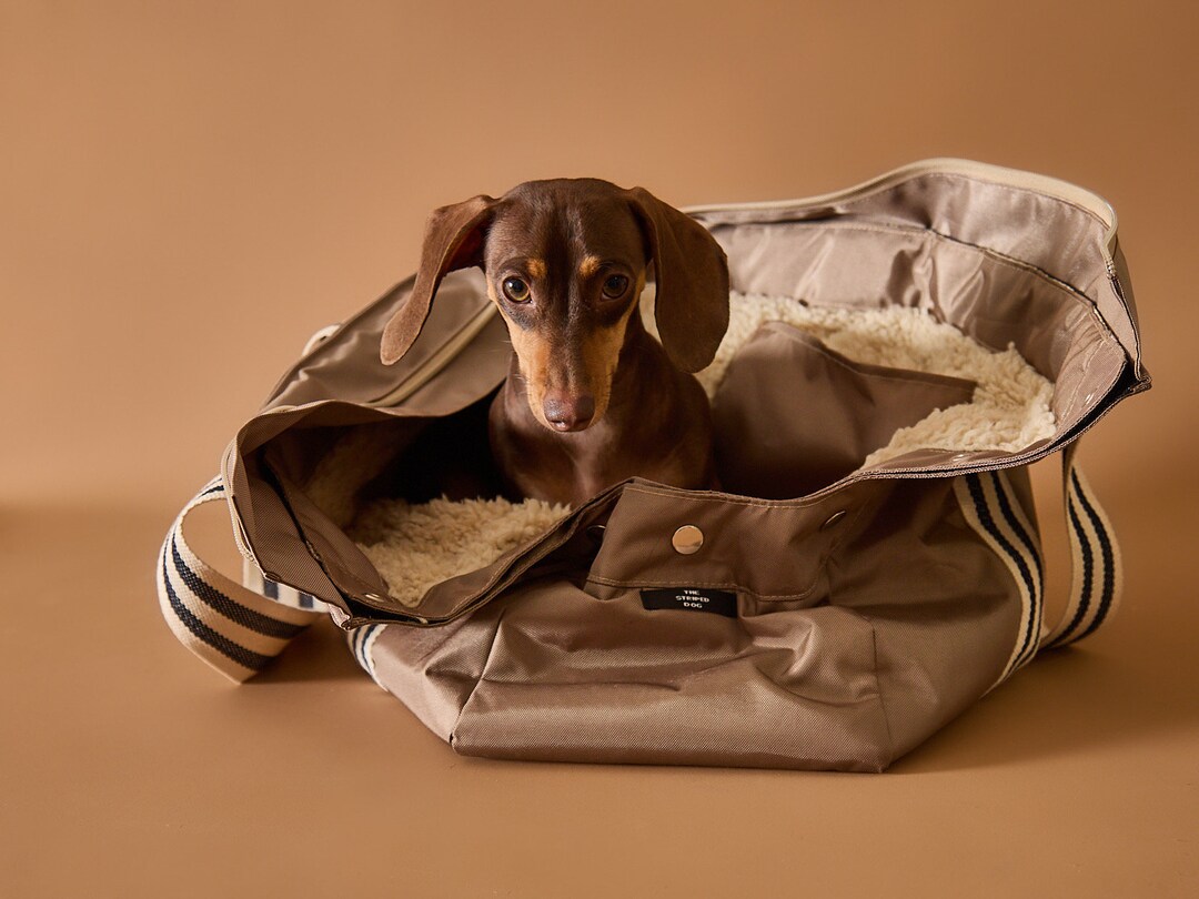 Dog Carry-on Bag, Carrier, Travel - FLORENT - Etsy