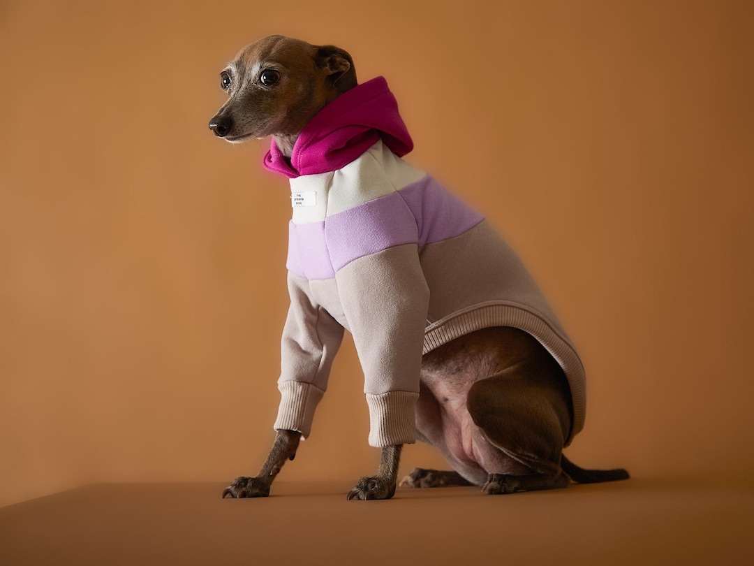 Italian Greyhound/whippet Light Color-blocked Hoodie, Dog Clothes ...