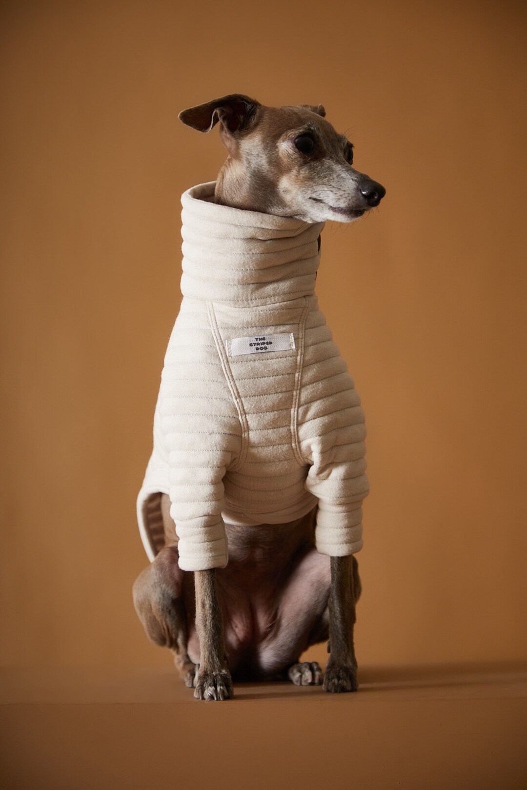 Italian Greyhound/whippet Sand Quilted Sweater, Dog Clothes, Dog ...