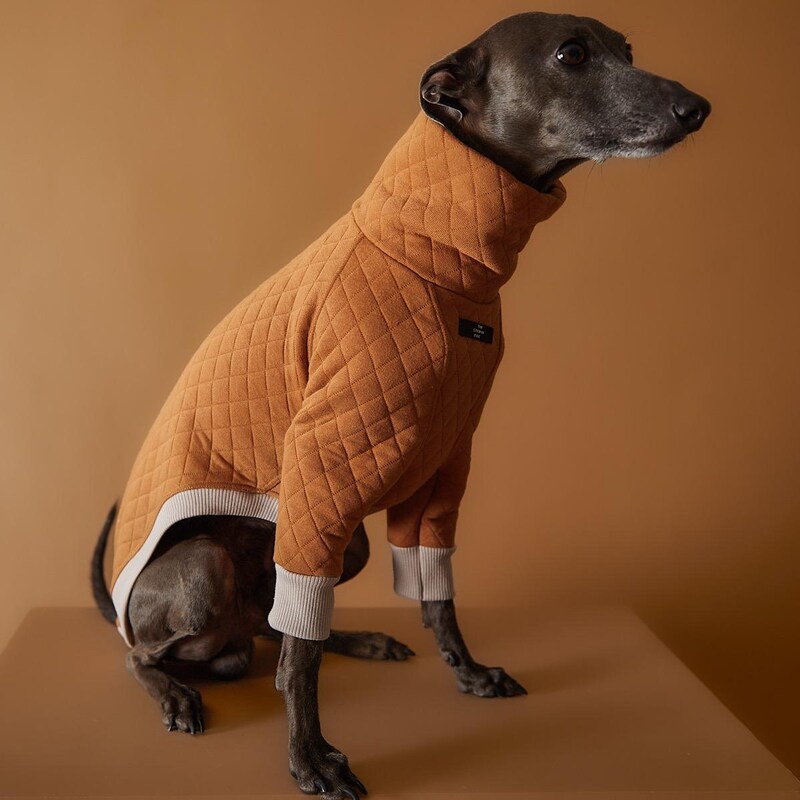 Italian Greyhound Clothing - Etsy