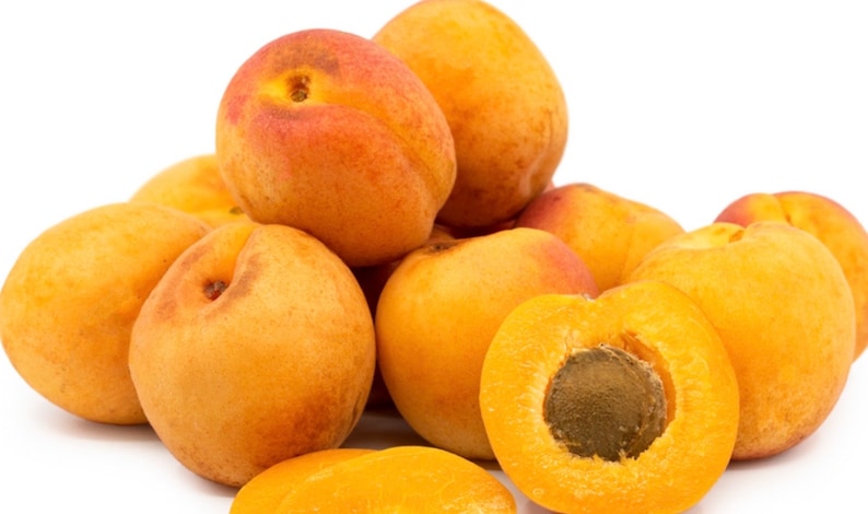 Organic Delicious Royal Apricot Live Plant Tree Guaranteed Growth or ...