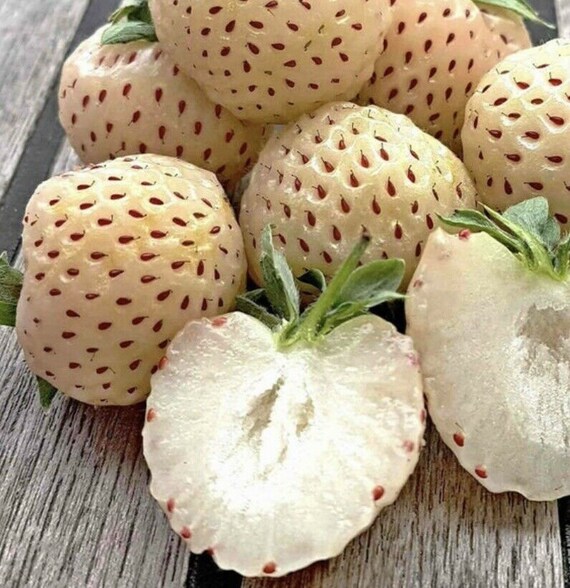 Pineberry