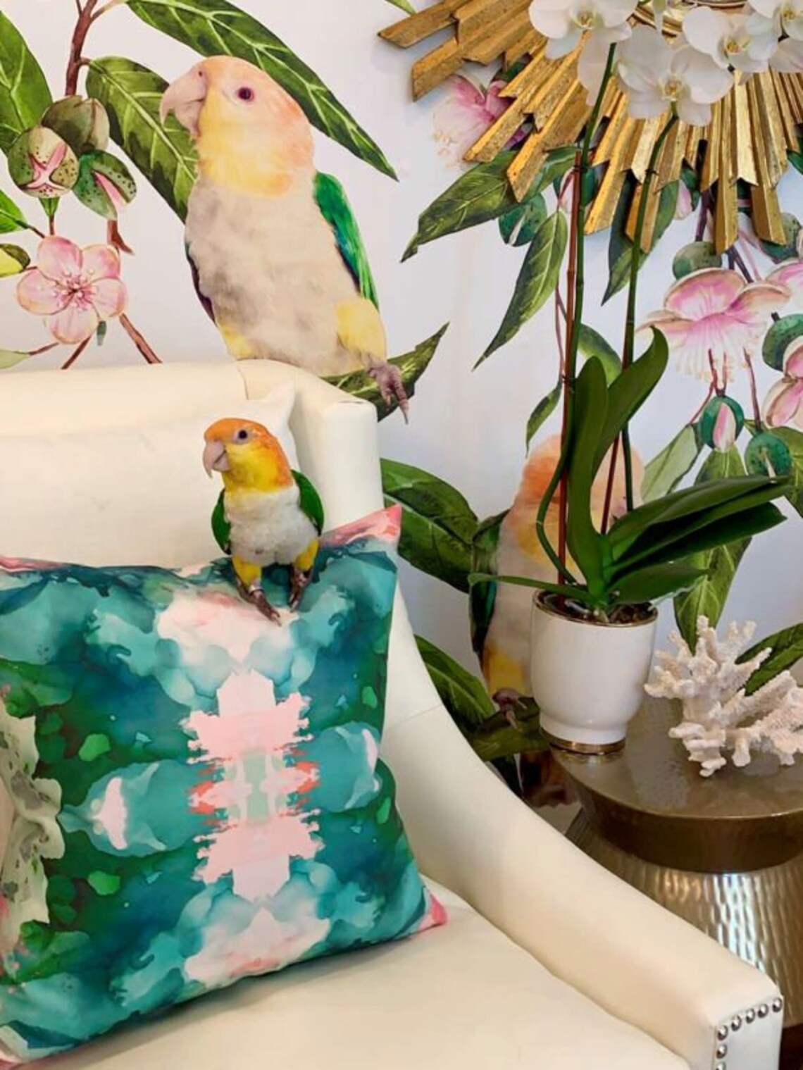 Juniper Wall Mural Parrot Wall Mural Parrot Wallpaper | Etsy