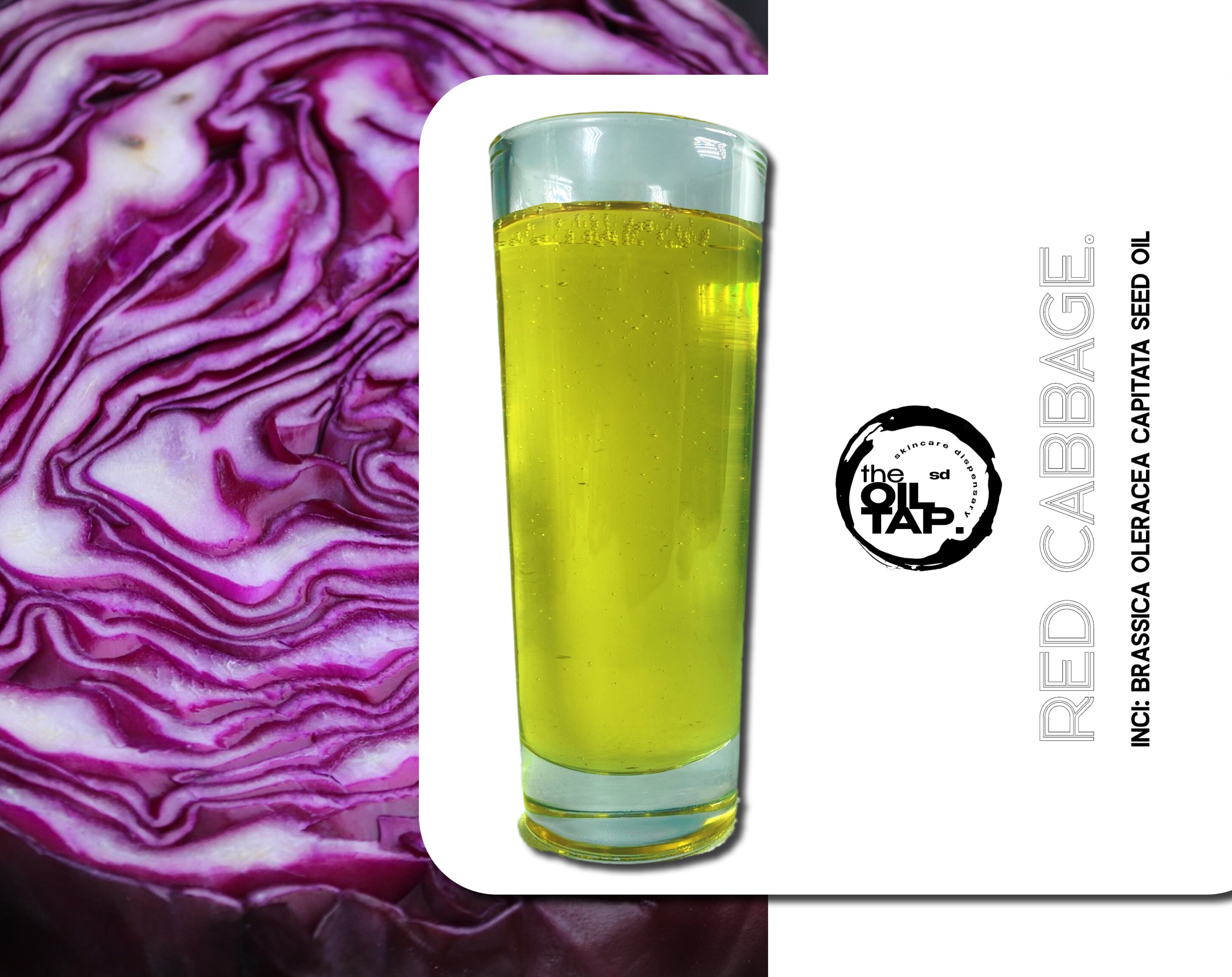 Organic Red Cabbage Seed Oil - Etsy