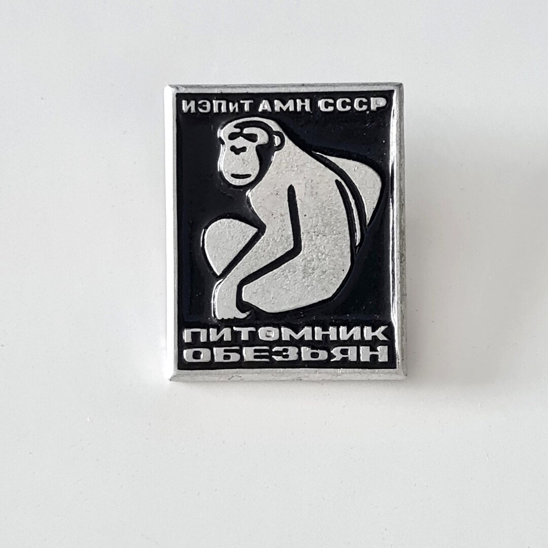 Soviet Vintage Metal Collectible Badge, Monkey, USSR, ZOO, Soviet Pin ...