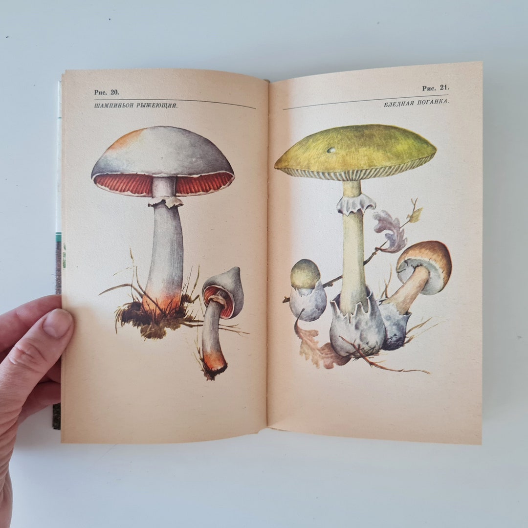 Vintage Book About Edible and Poisonous Mushrooms, Atlas, Mushroom ...