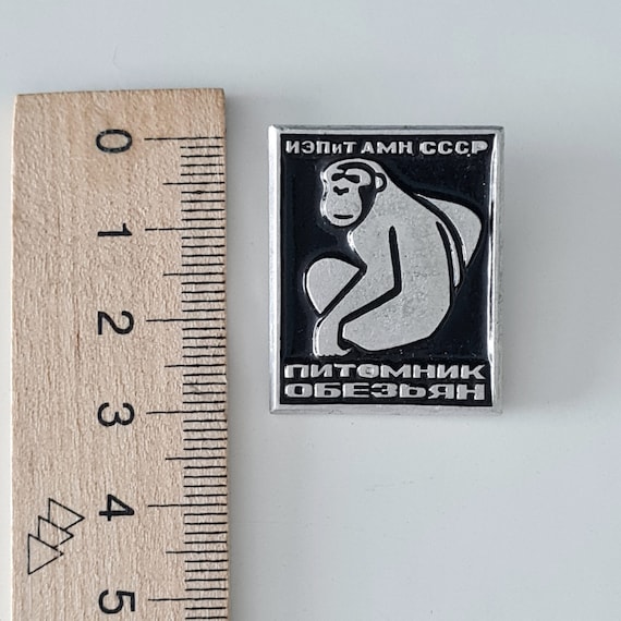 Soviet vintage metal collectible badge, Monkey, USSR,… - Gem