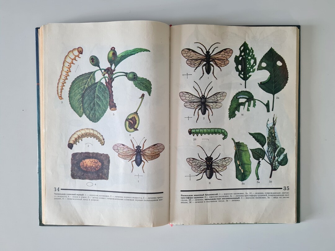 Atlas of Pests of Fruit and Berry Crops, Harmful Insects and Animals ...