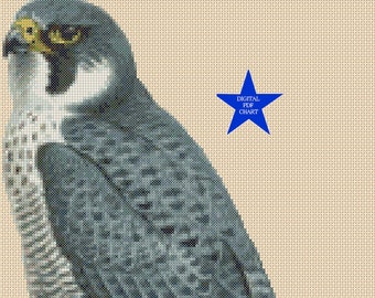 Falcon Cross Stitch - Etsy UK