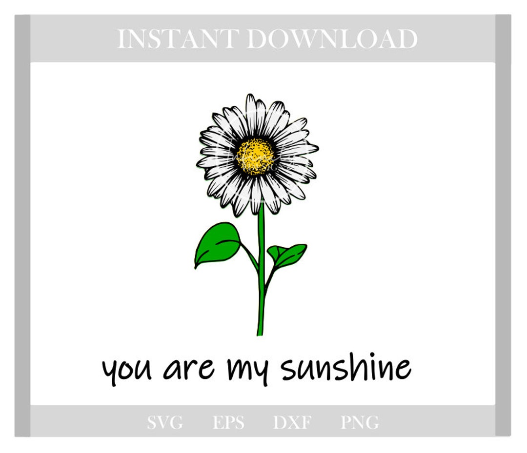 Daisy Svg,flowers Svg.flower Svg.flower Printables,summer Svg,spring ...