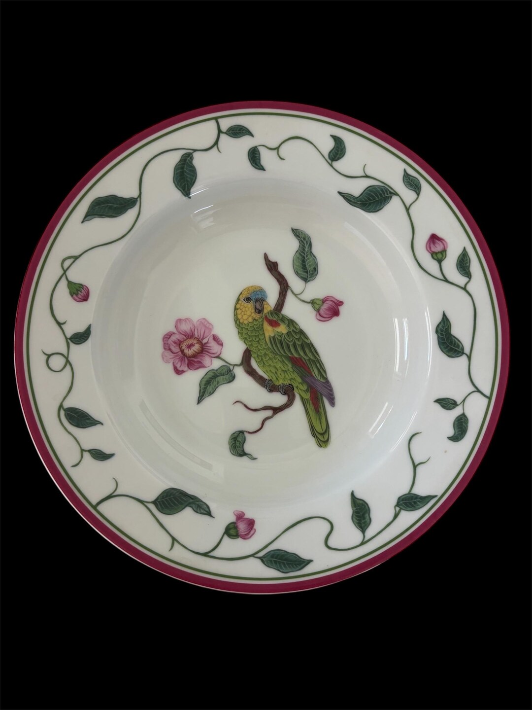 Lynn Chase China Parrots of Paradise Rimmed Soup Plate/bowl-9 1/4" - Etsy