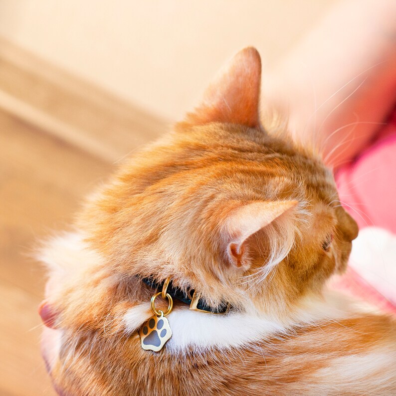 Cute Cat Collar Personalized Leather Collar Custom Collar - Etsy