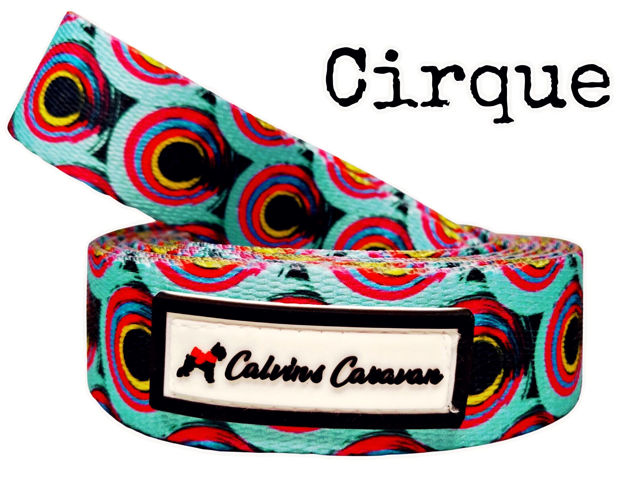 Cirque Dog Leash, Circle Dog Leash, 6 Ft Dog Leash, Blue Leash, Yellow ...