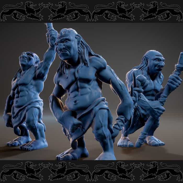 Pathfinder 28mm 3D printed Tabletop RPG for Dungeons & Dragons and more ...