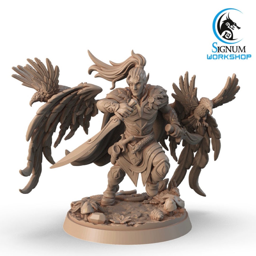 Cael Ravenwing, Pathfinder Signum Worshop, Rogue Assassin Vax'ildan ...