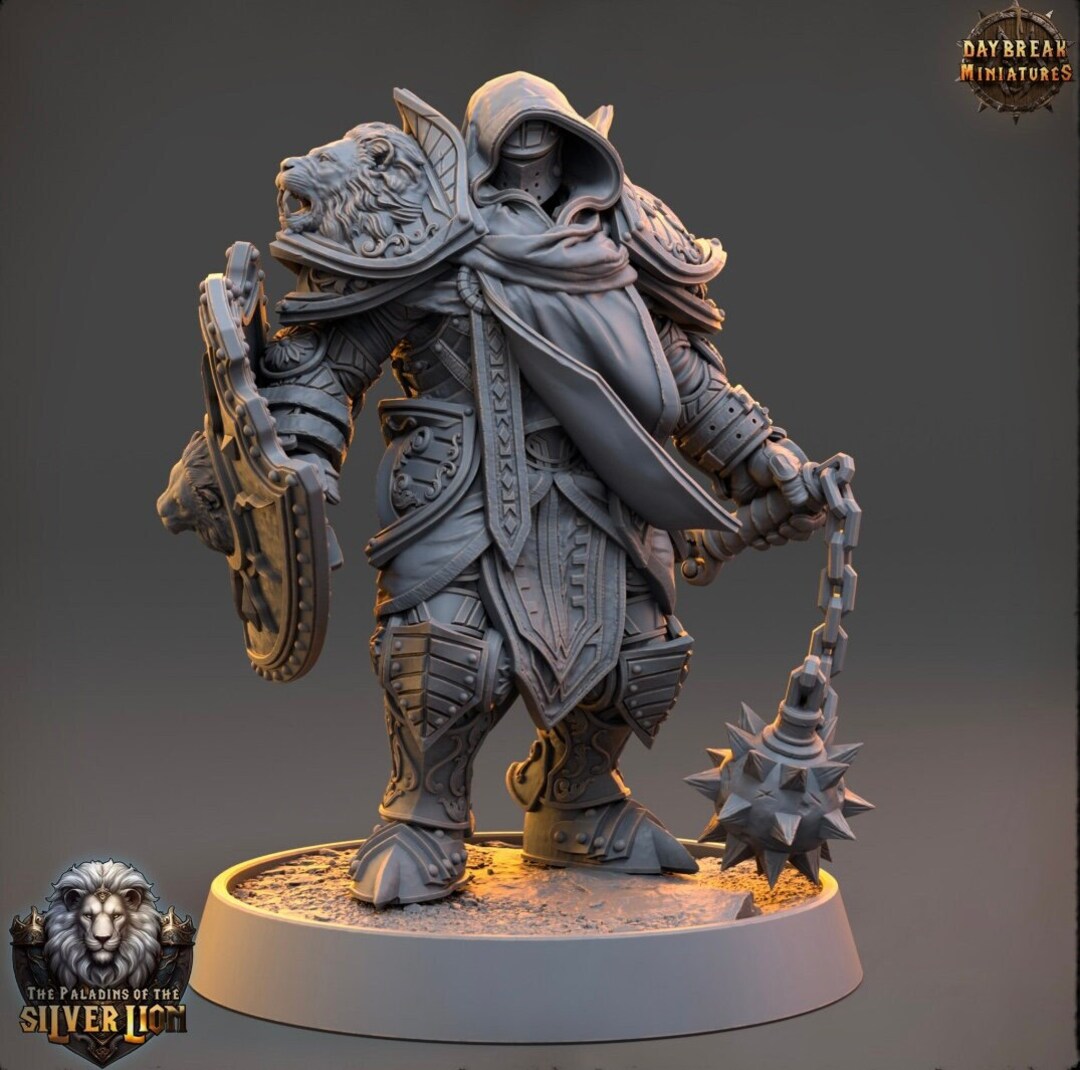 Mattias Du Lion Tuant The Paladins Of The Silver Lion Miniature Dnd Mini Dungeons And Dragons 5e