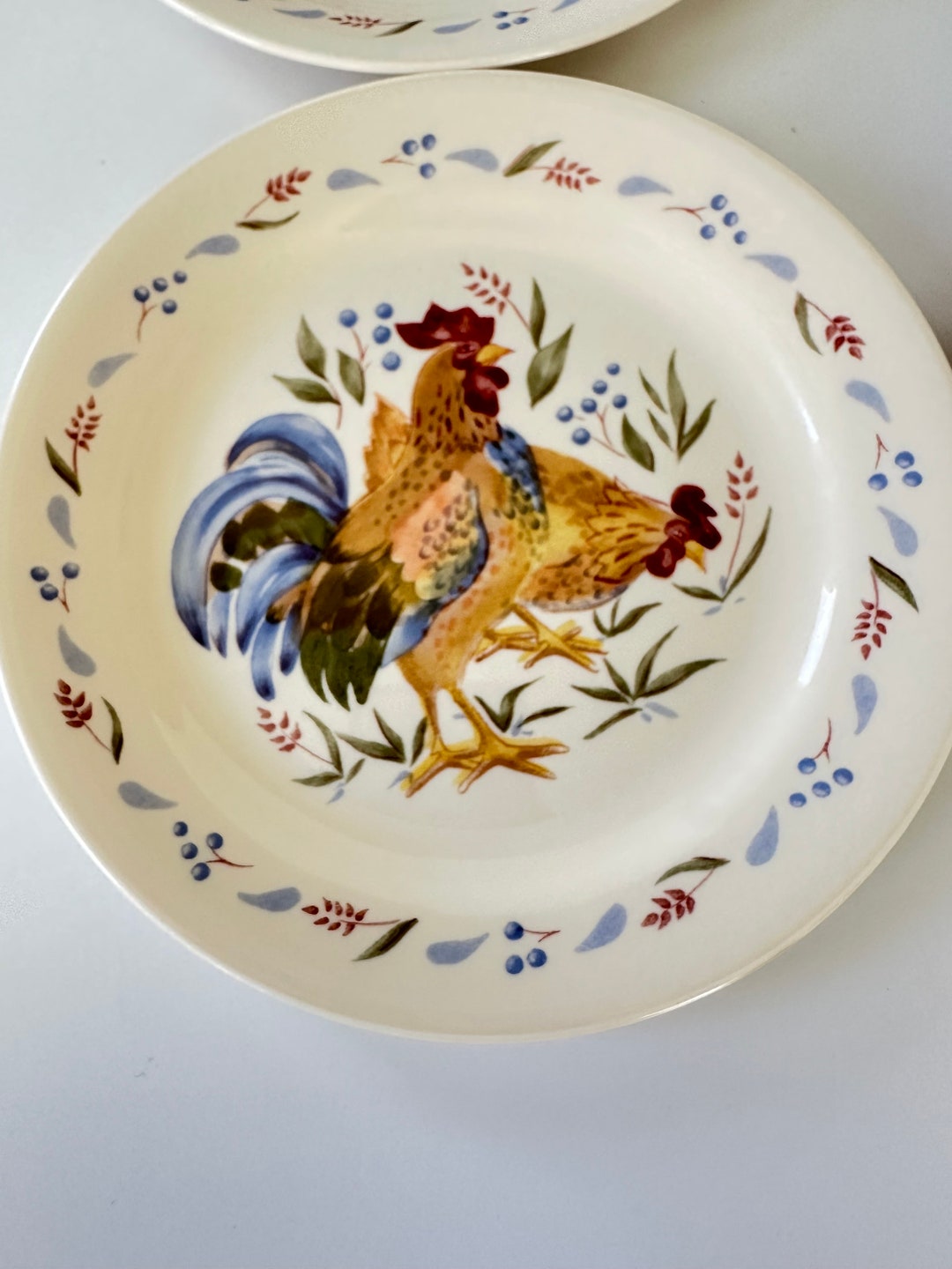 10-1/4" Dinner Plate * Corelle "country Morning" - Etsy