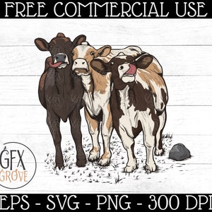 3 Cows SVG - Heifers Vector File - Cows Clipart - Cow Sublimation ...