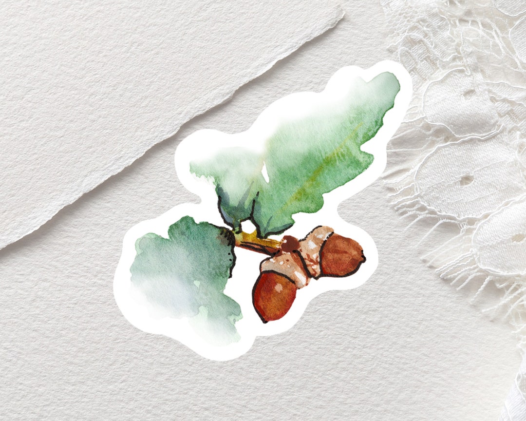 Hiking Stickers | Acorn Sticker | Watercolor Stickers | Spring Stickers ...
