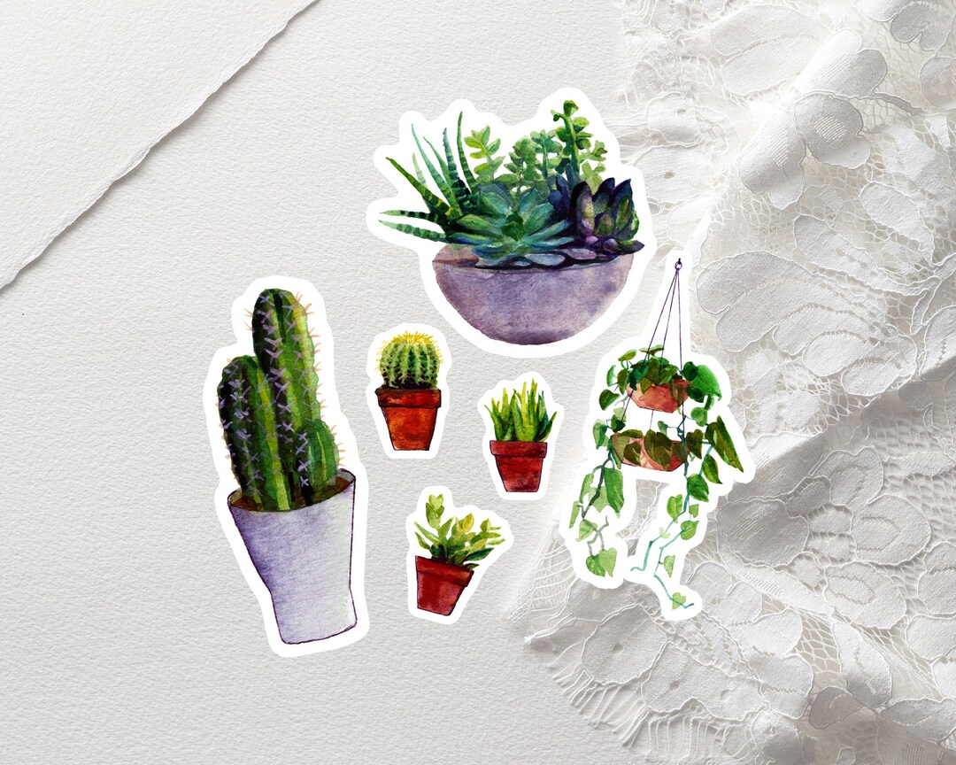 Plant Stickers | Sticker Pack | Botanical Stickers | Succulent Stickers ...