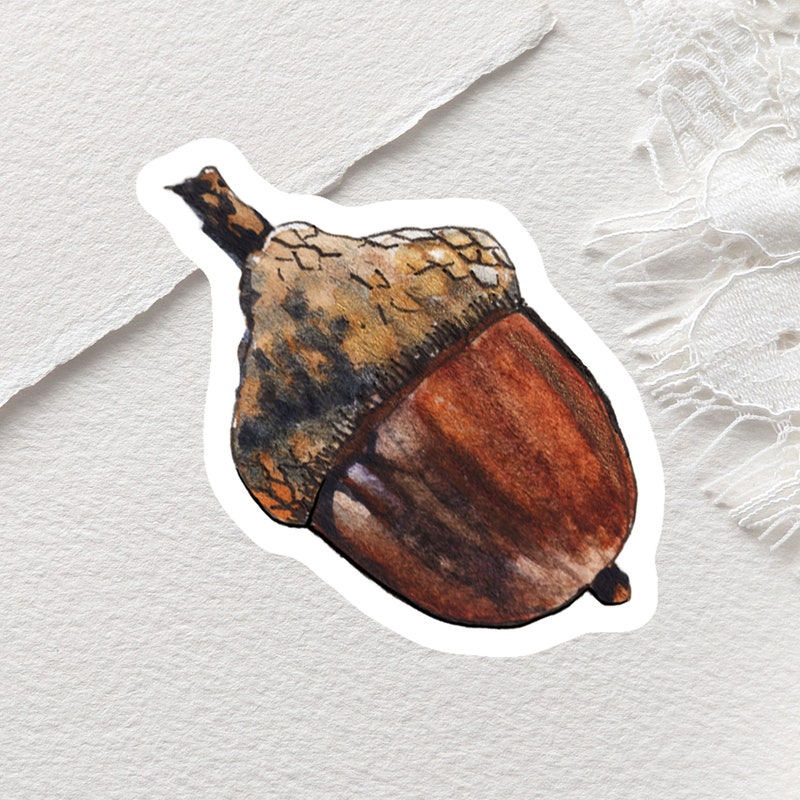 Acorn Logo - Etsy