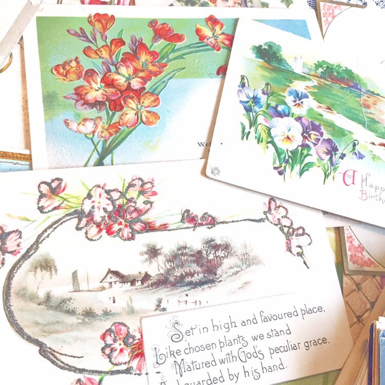 Vintage Assorted Postcard Set, Embossed Antique Postcards, Random Lot ...