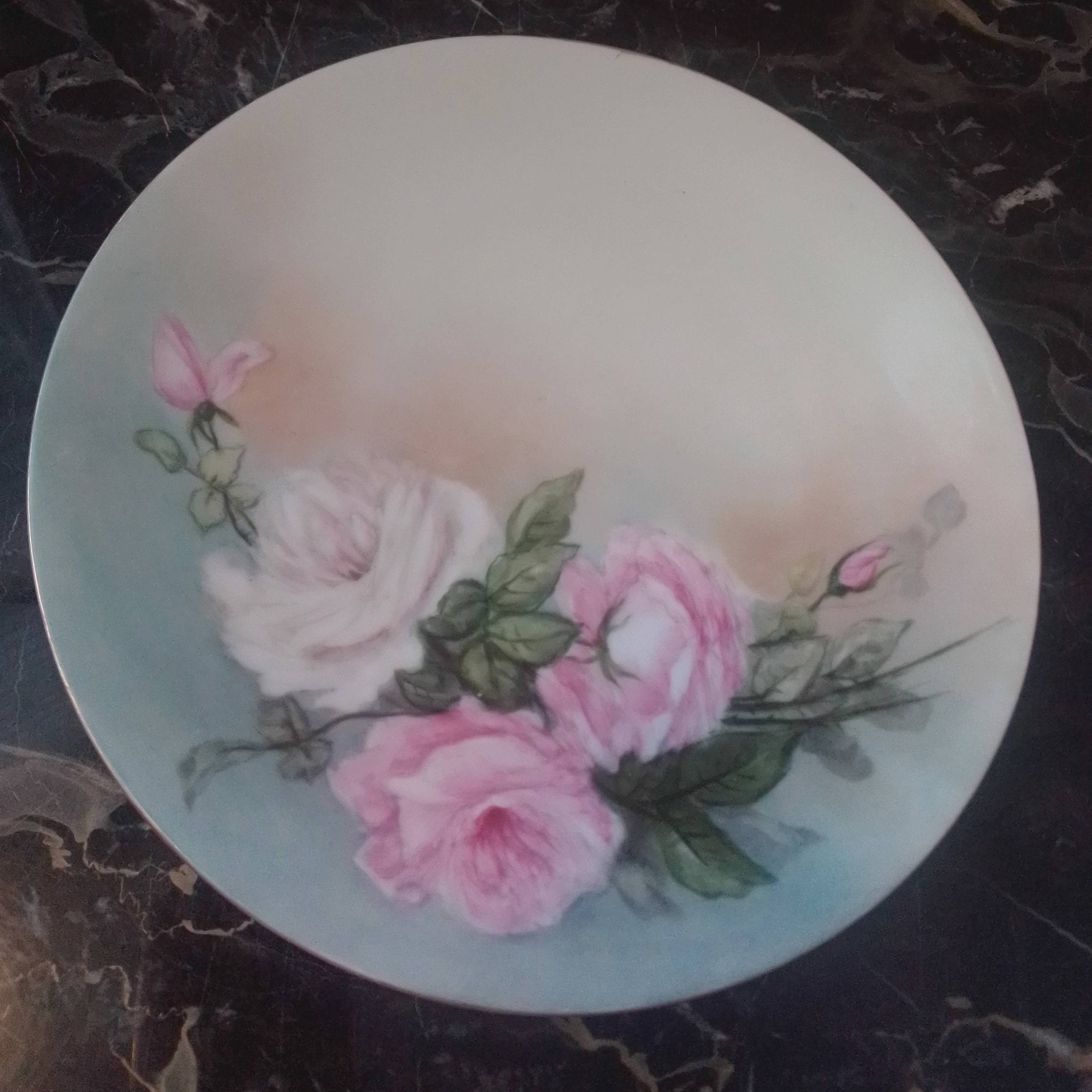 Silesia Plate (1900-1920) Antique Herman Home Porcelain Silesia ...