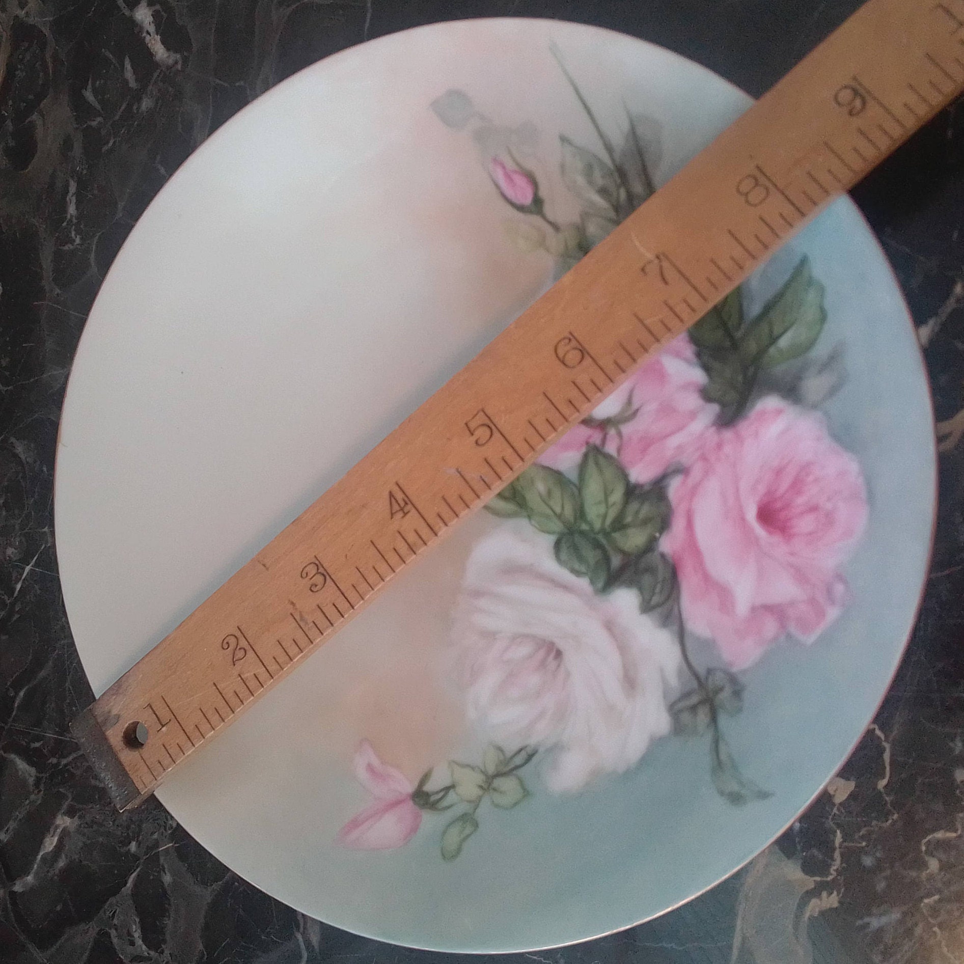 Silesia Plate 1900-1920 Antique Herman Home Porcelain Silesia ...