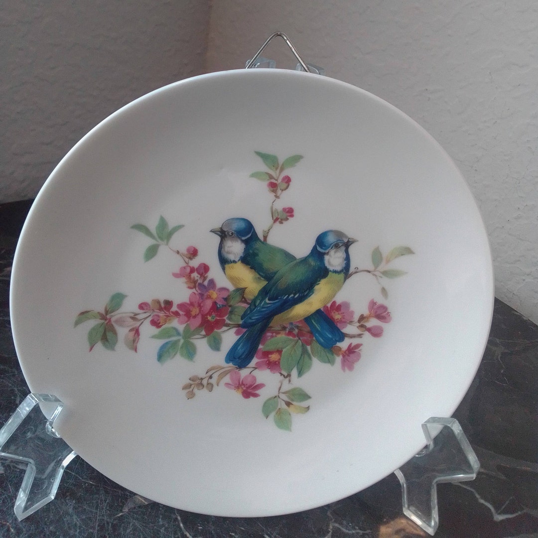 Scherzer Bavaria 1949 1991 Germany Bird Plate - Etsy