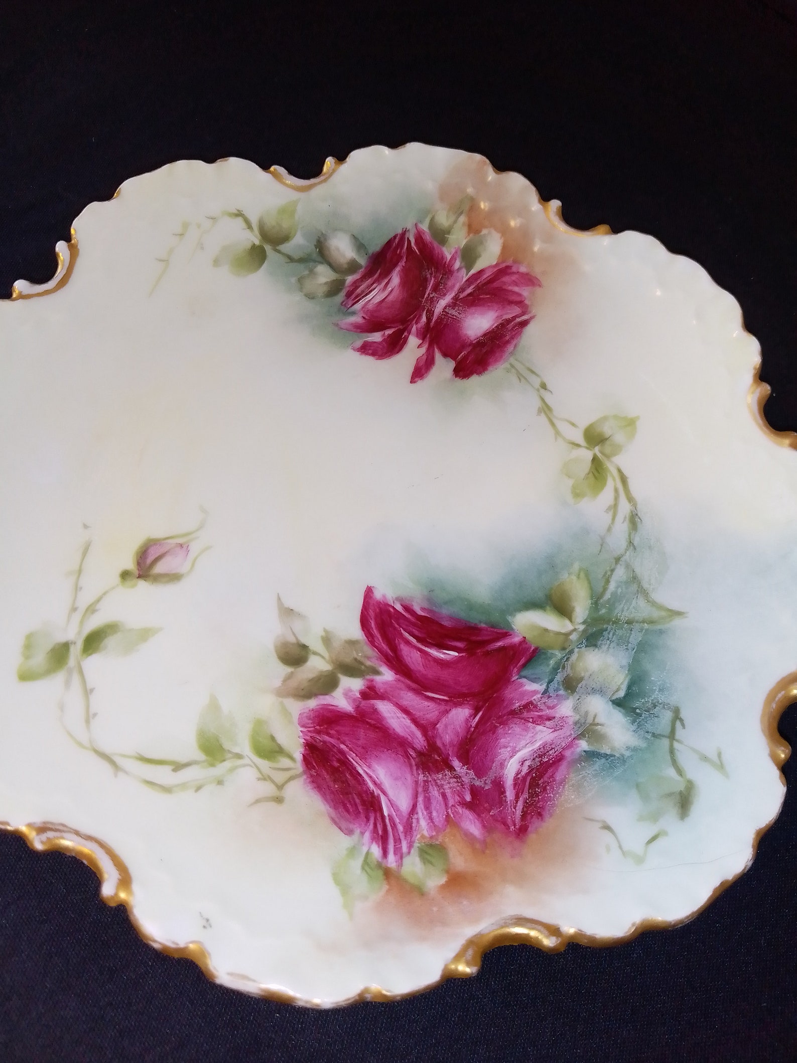 RC Rosenthal Continental Monbijou Bavaria Porcelain Plate - Etsy