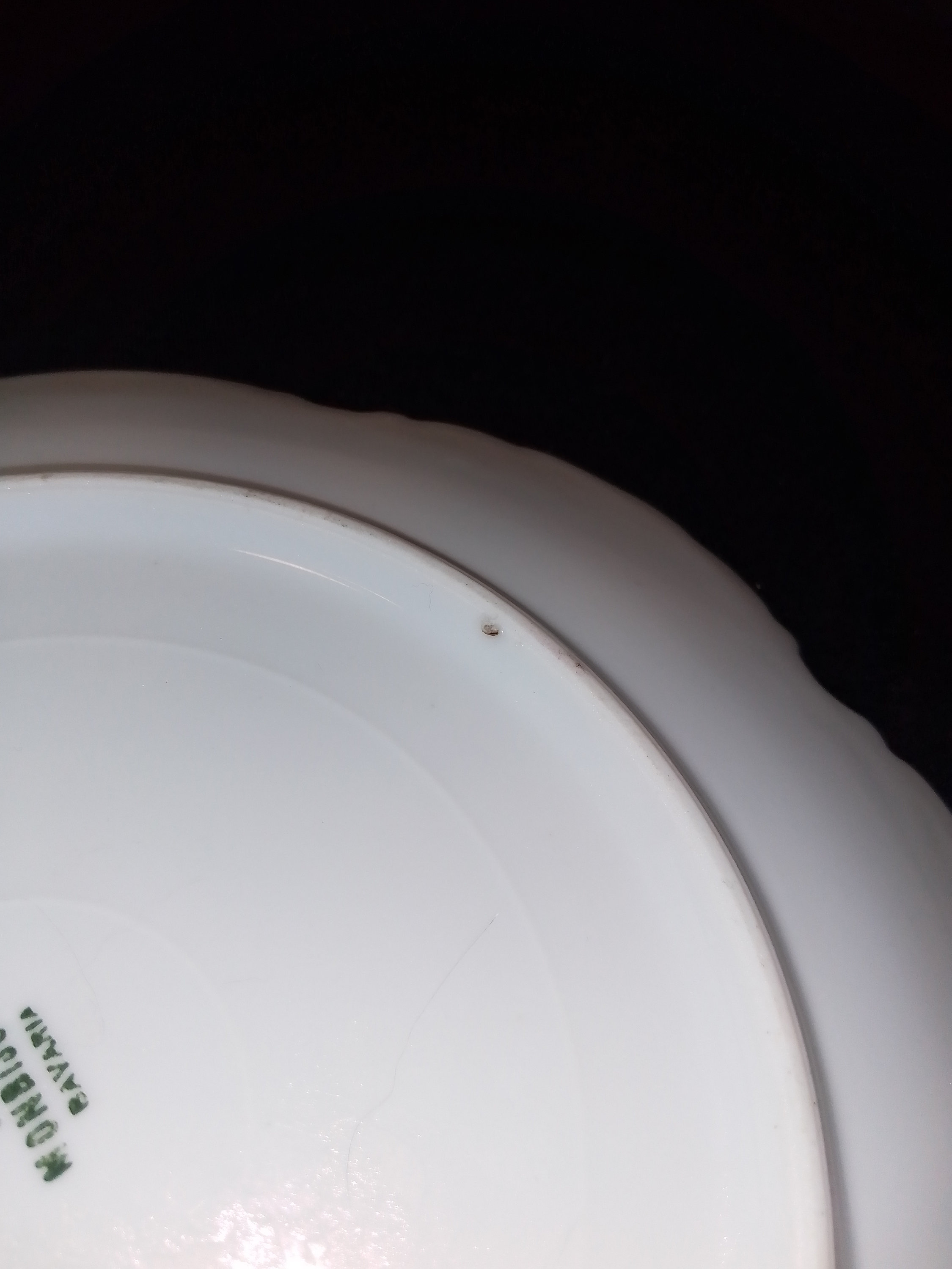 RC Rosenthal Continental Monbijou Bavaria Porcelain Plate - Etsy