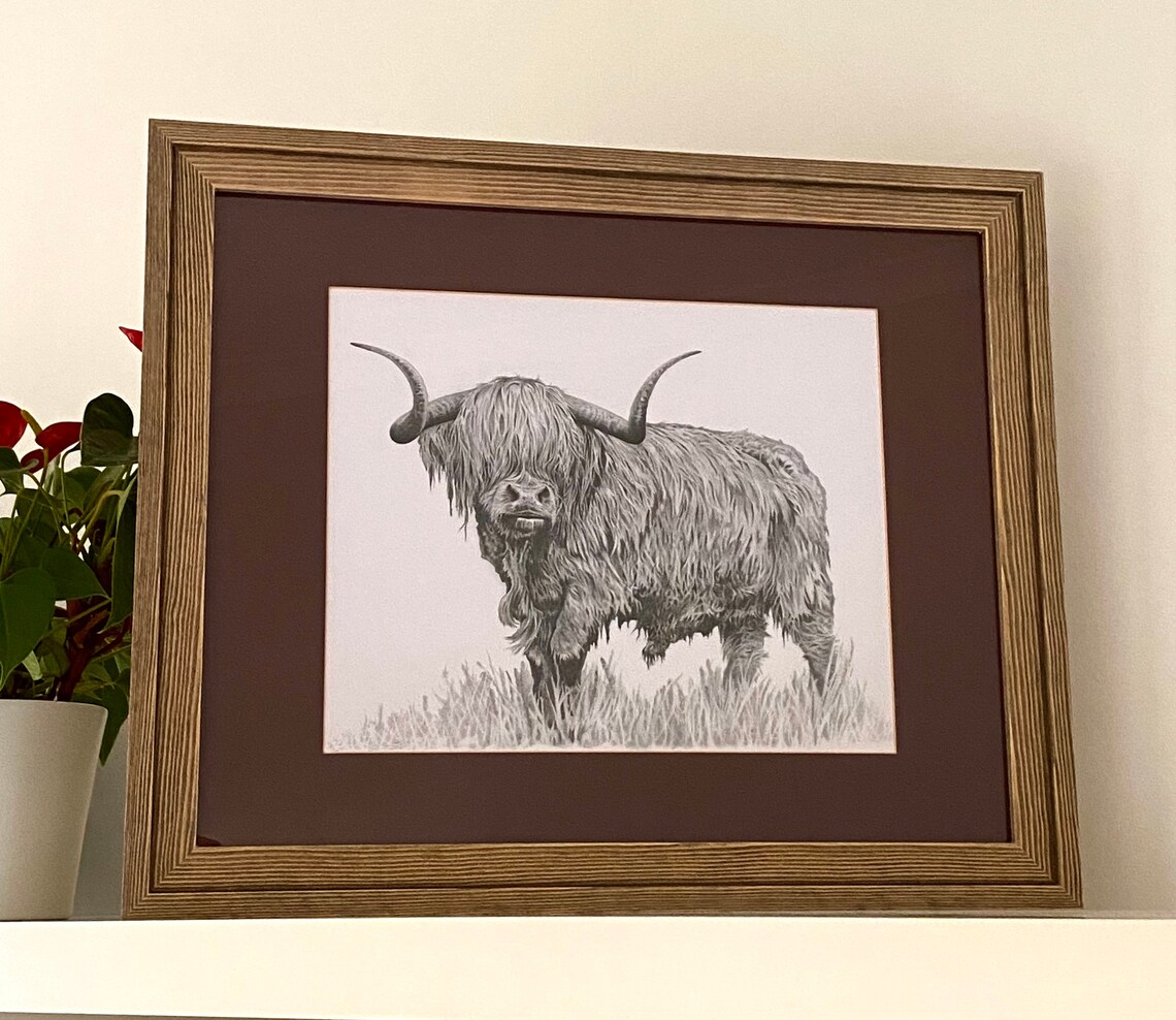 Highland Cow Hand Drawn Highland Cow Pencil Drawing of a - Etsy