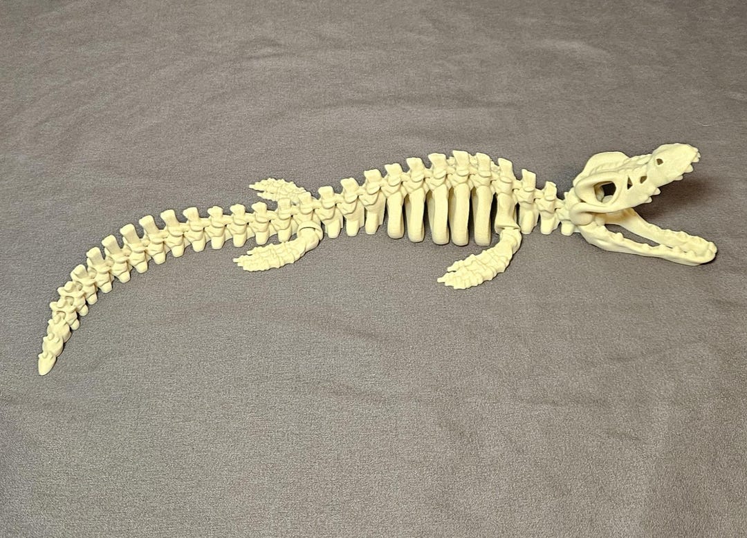 Articulated Mosasaur Skeleton Fossil – 3D Printed Reptile Model - Etsy