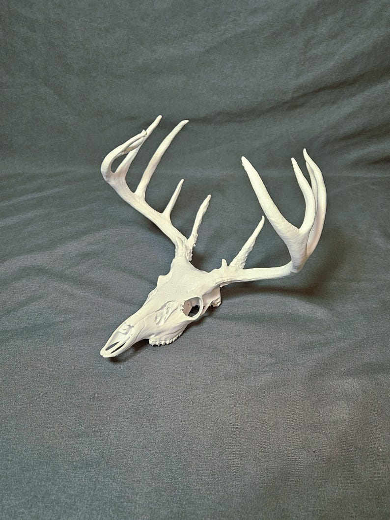 3D Printed Deer Skull Replica – Realistic Deer Skull Decor - Etsy