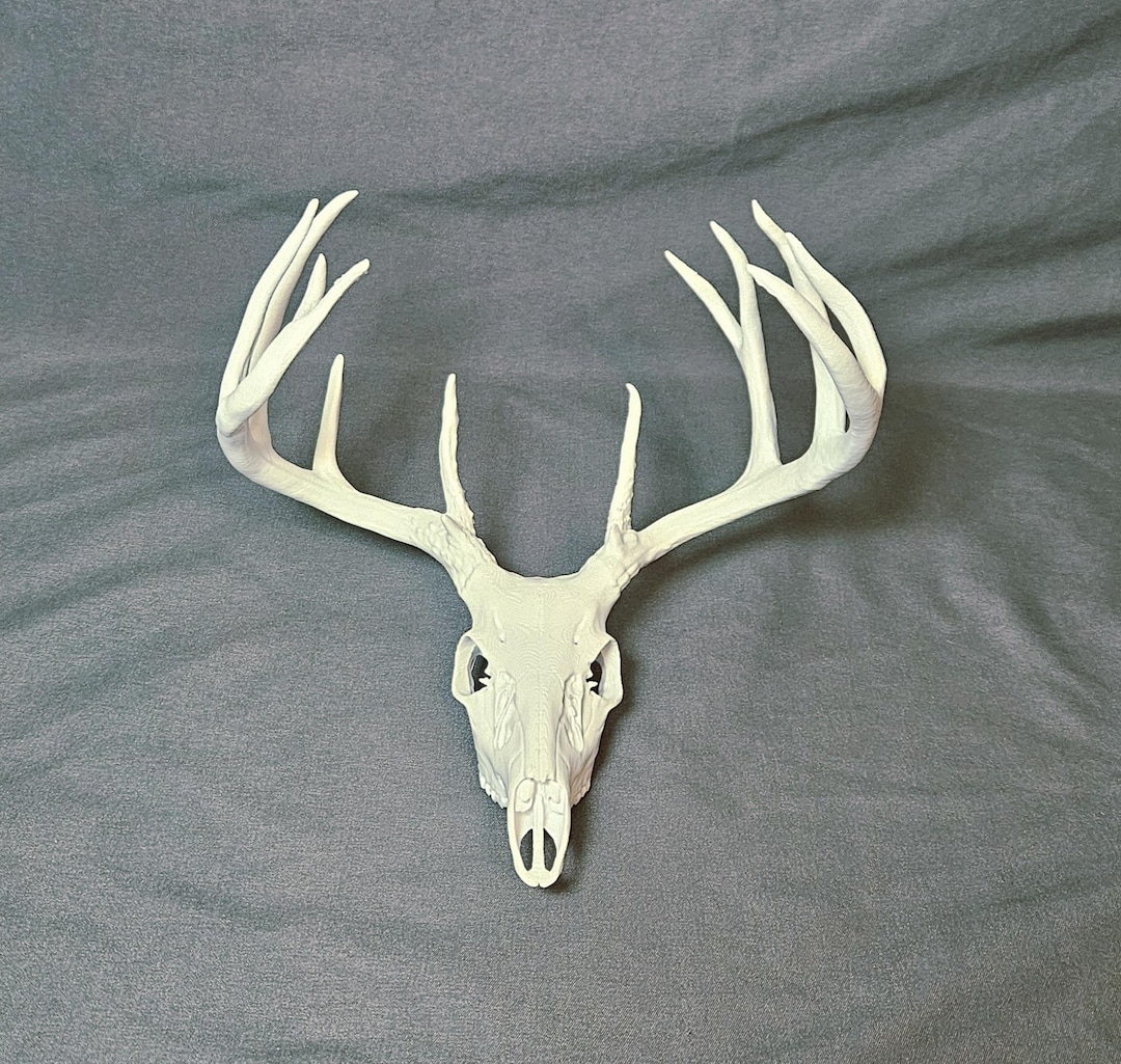 3D Printed Deer Skull Replica – Realistic Deer Skull Decor - Etsy