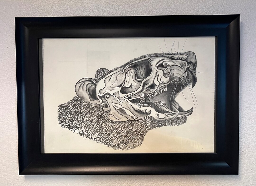 Rat Skull Drawing - Etsy