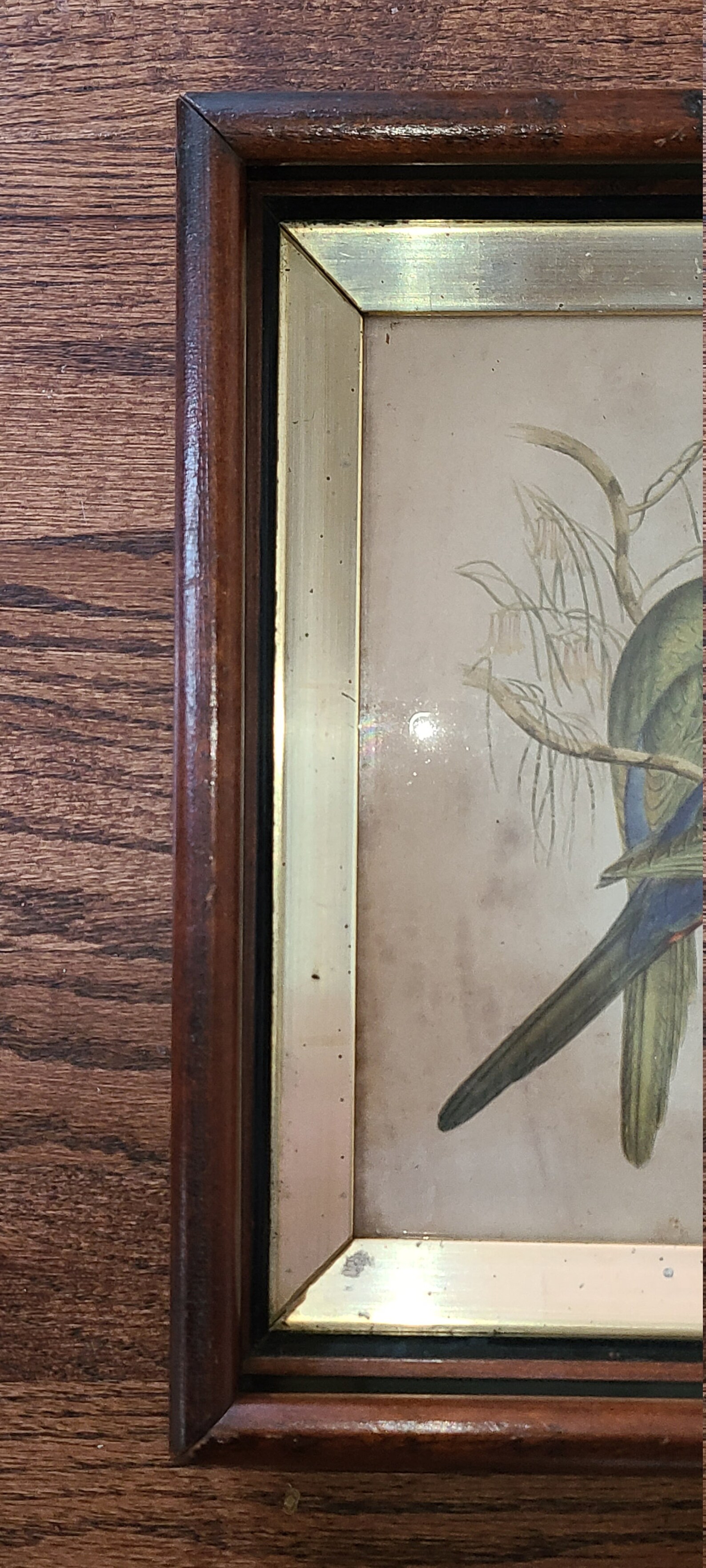 Beautiful Antique Deep Shadow Box Picture Frame w/ Gold Gilt | Etsy