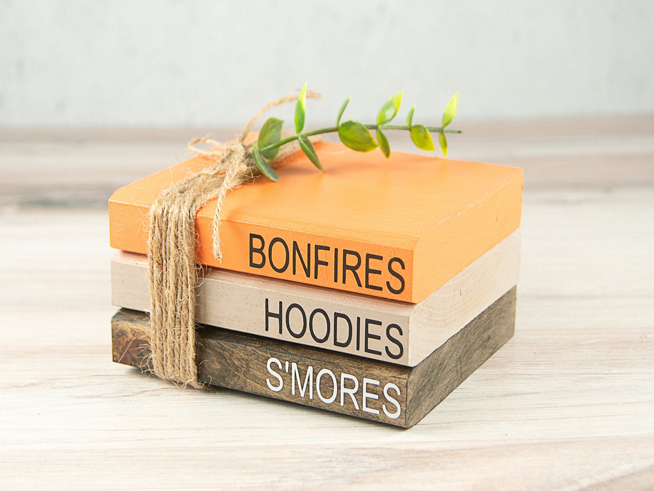 MINI Fall Book Stack Bonfires Hoodies Smores Farmhouse Books - Etsy